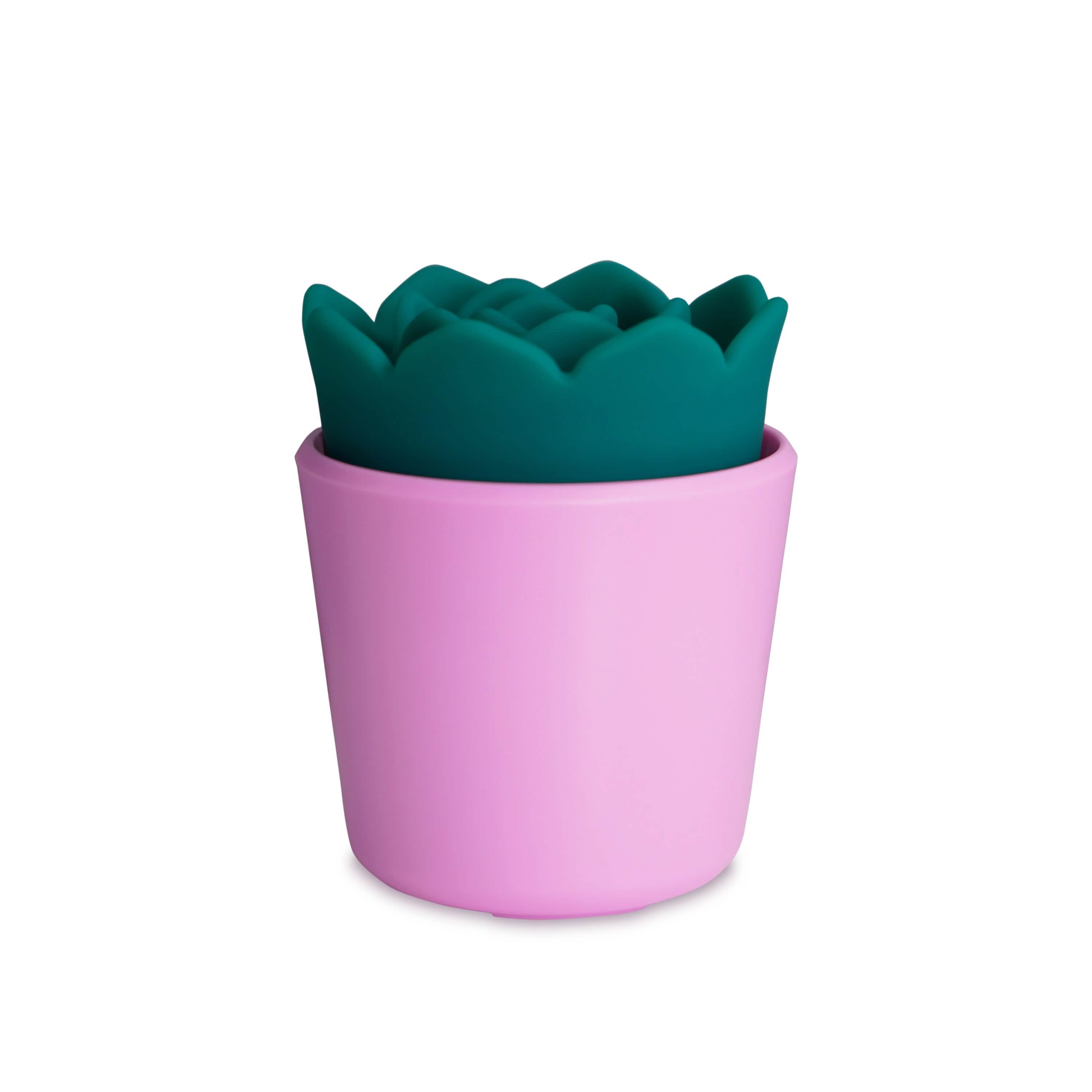 Succulent Arouser – plusOne