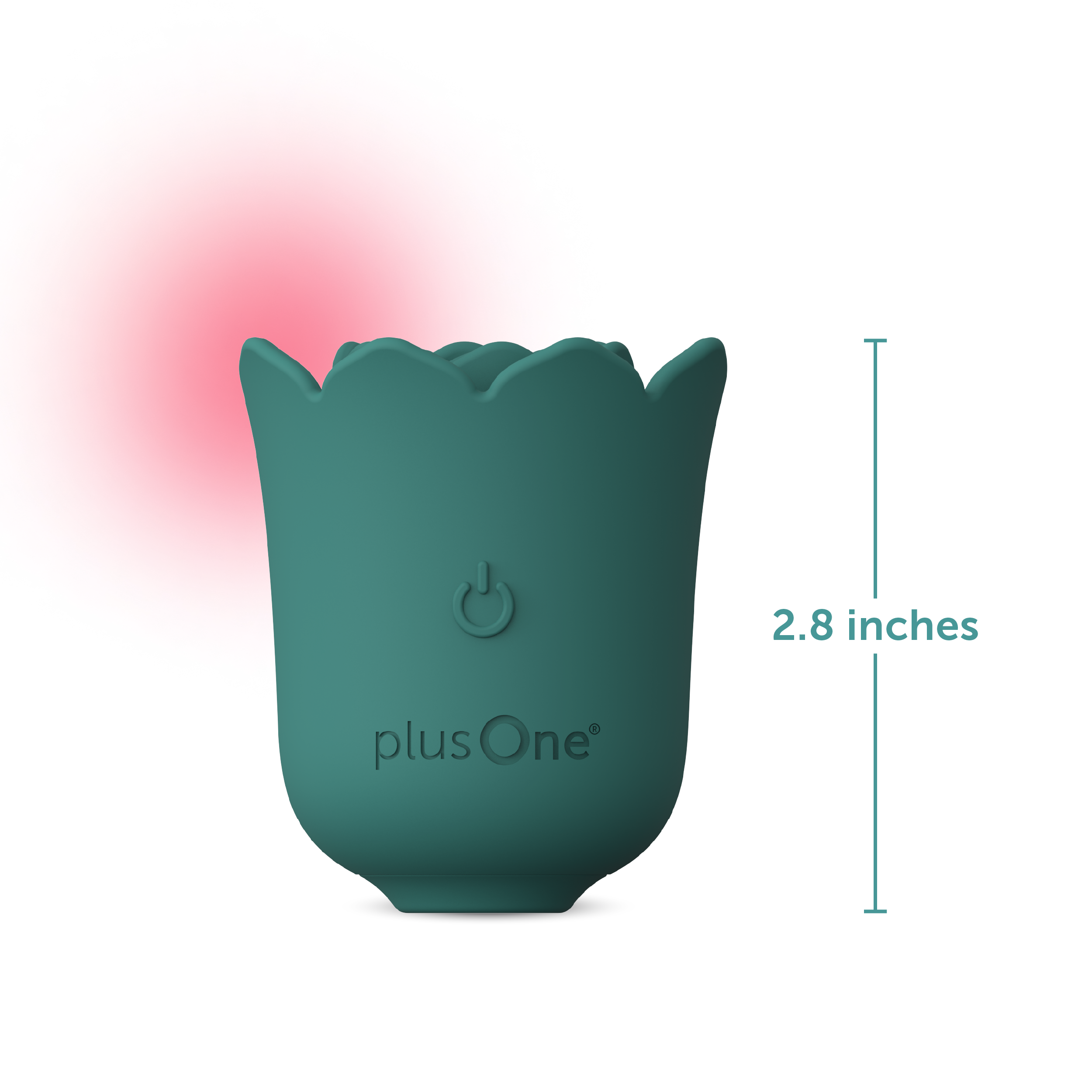 Succulent Arouser | plusOne